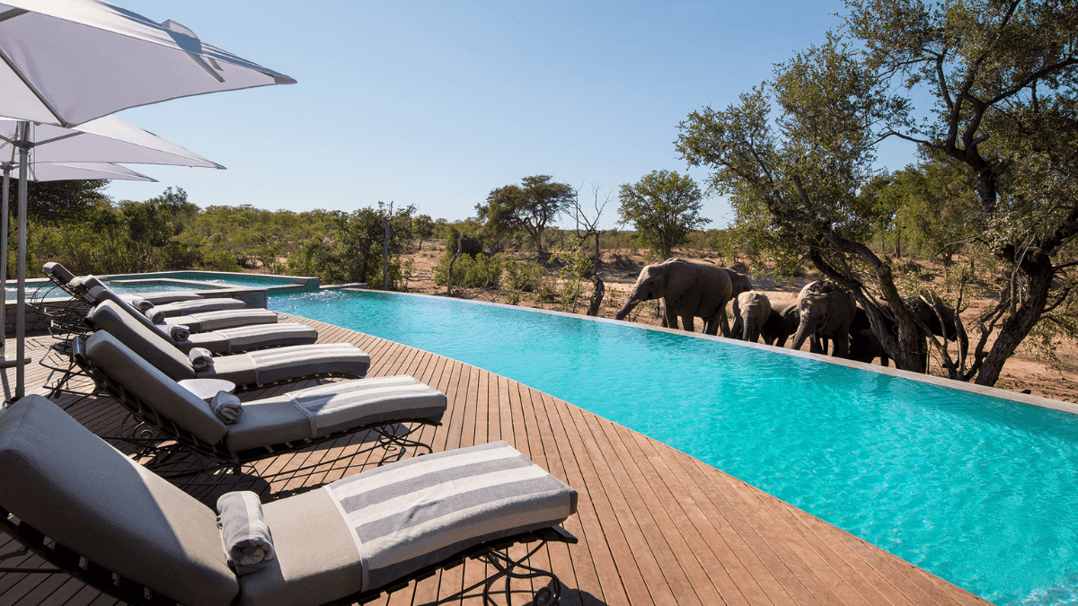 Luxury Getaways: The Most Exclusive Lodges & Hotels in Gauteng - Whats on G